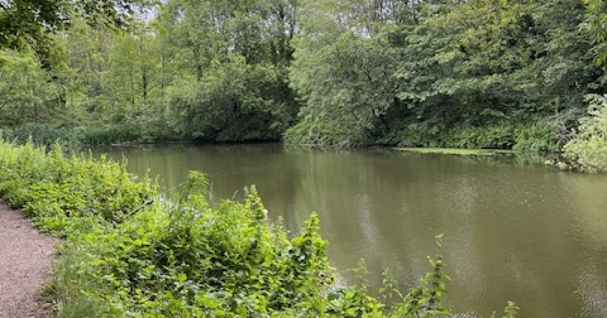 Irlam Station Circular - Ramblers